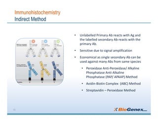 Basics of Immunohistochemistry (IHC) | PDF