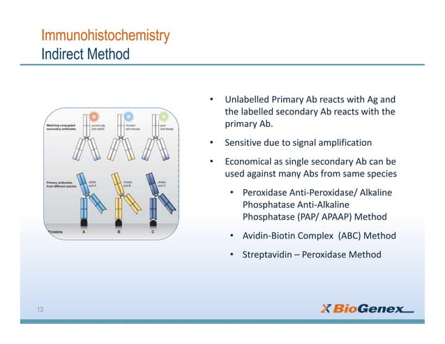 Basics of Immunohistochemistry (IHC) | PDF | Chemistry | Science