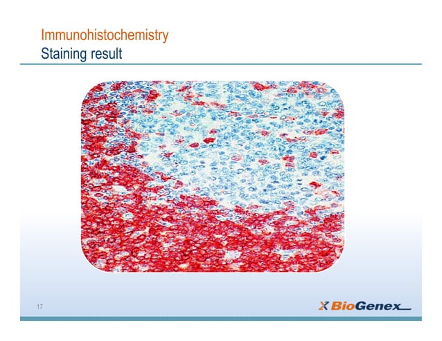 Basics of Immunohistochemistry (IHC) | PDF | Chemistry | Science