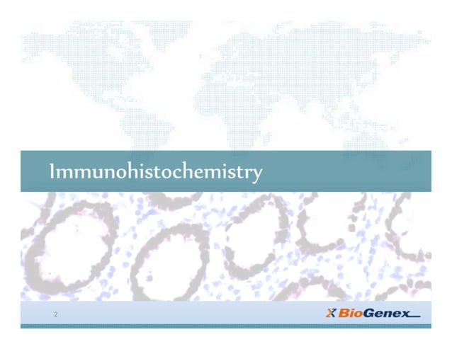 Basics of Immunohistochemistry (IHC) | PDF | Chemistry | Science
