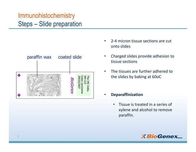 Basics of Immunohistochemistry (IHC) | PDF | Chemistry | Science