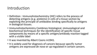 Immunohistochemistry in lung cancer | PPTX