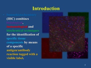 IHC.pptx