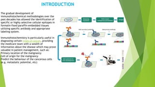AN OVERVIEW OF IMMUNOHISTOCHEMISTRY(IHC) | PDF