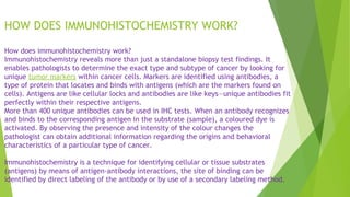 AN OVERVIEW OF IMMUNOHISTOCHEMISTRY(IHC) | PDF