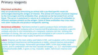 AN OVERVIEW OF IMMUNOHISTOCHEMISTRY(IHC) | PDF