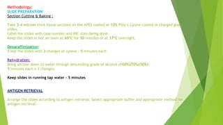 AN OVERVIEW OF IMMUNOHISTOCHEMISTRY(IHC) | PDF