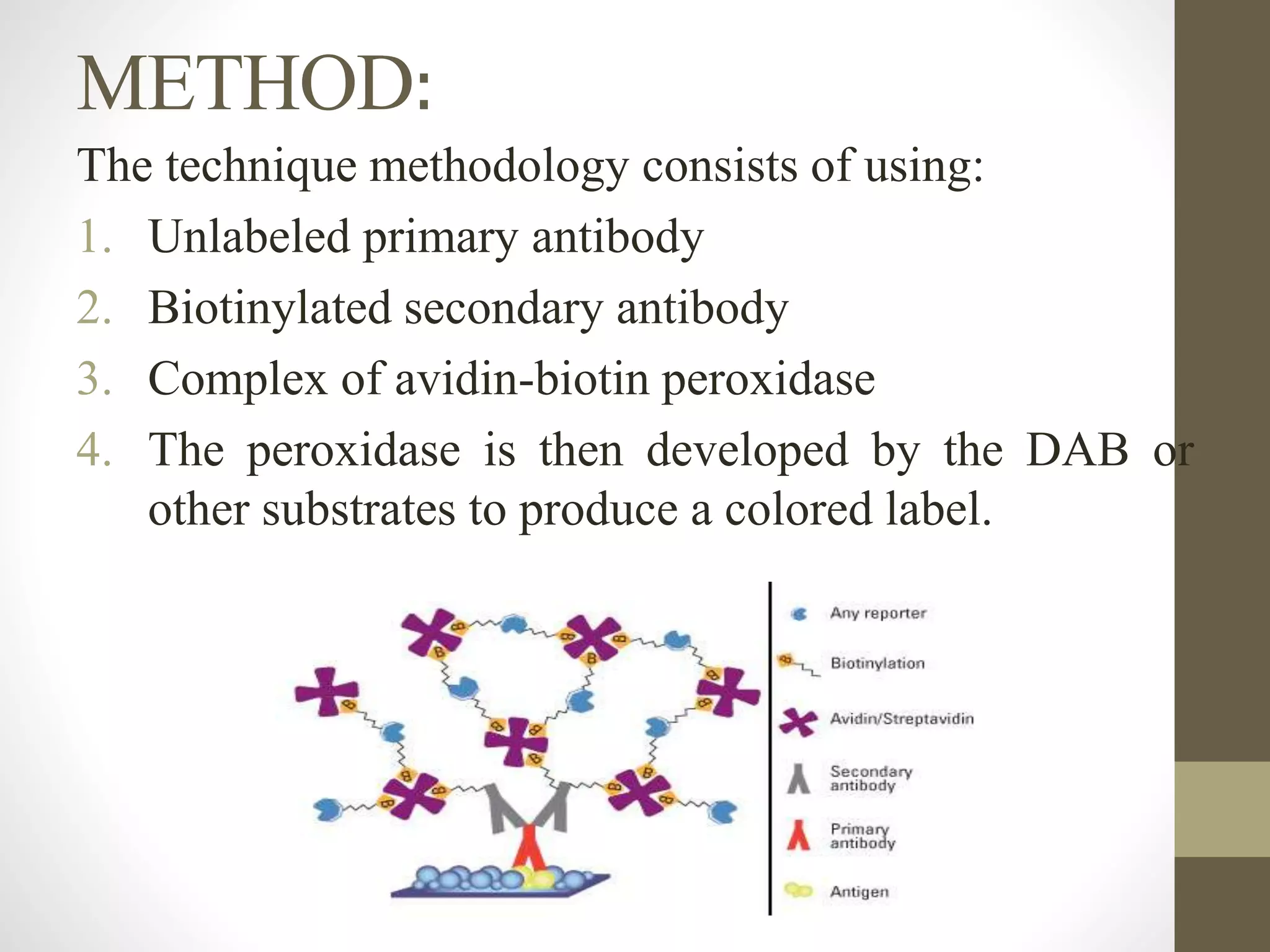 IMMUNOHISTOCHEMISTRY(IHC) | PPT