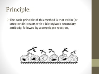 IMMUNOHISTOCHEMISTRY(IHC) | PPT