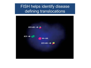 Ihc fish and flowcytometry | PPT