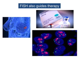 Ihc fish and flowcytometry | PPT
