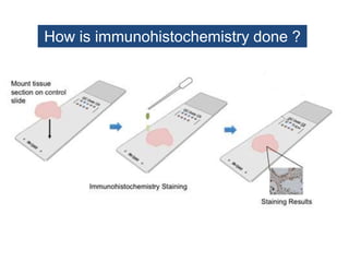 Ihc fish and flowcytometry | PPT