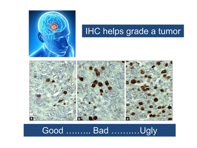 Ihc fish and flowcytometry | PPT