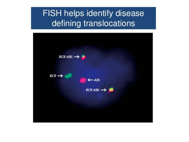 Ihc fish and flowcytometry
