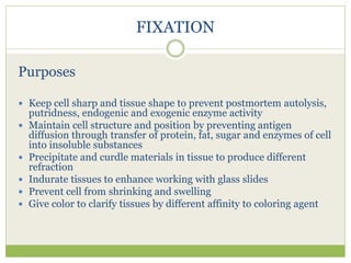IHC Fixation | PPTX