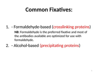 IHC_Fixation_and_Tissue_Preparation_Presentation[1].pptx