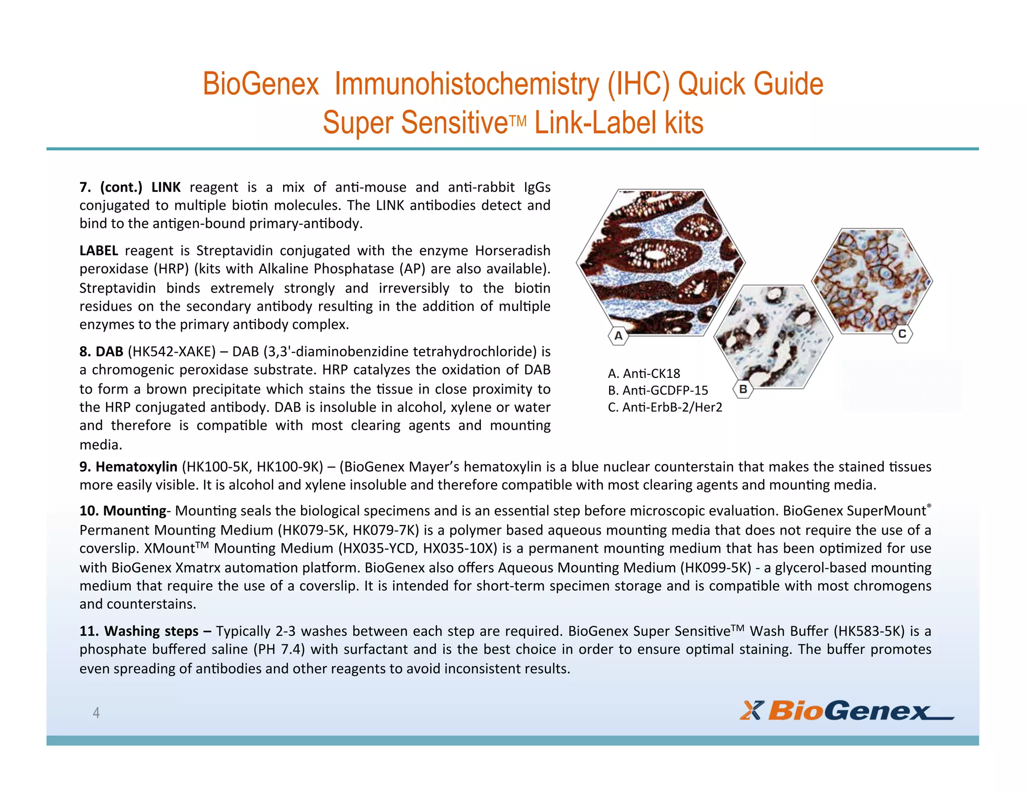 IHC Link-Label | PPT