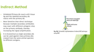 IHC Methods.pptx
