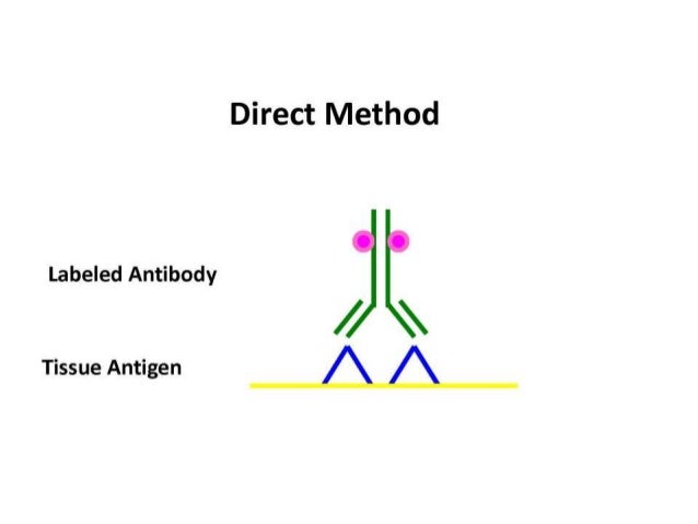 priciples and applications Immunohistochemistry