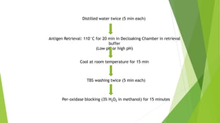 IHC protocols.pptx | Chemistry | Science