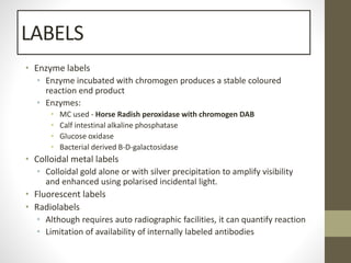 Immunohistochemistry | PPTX