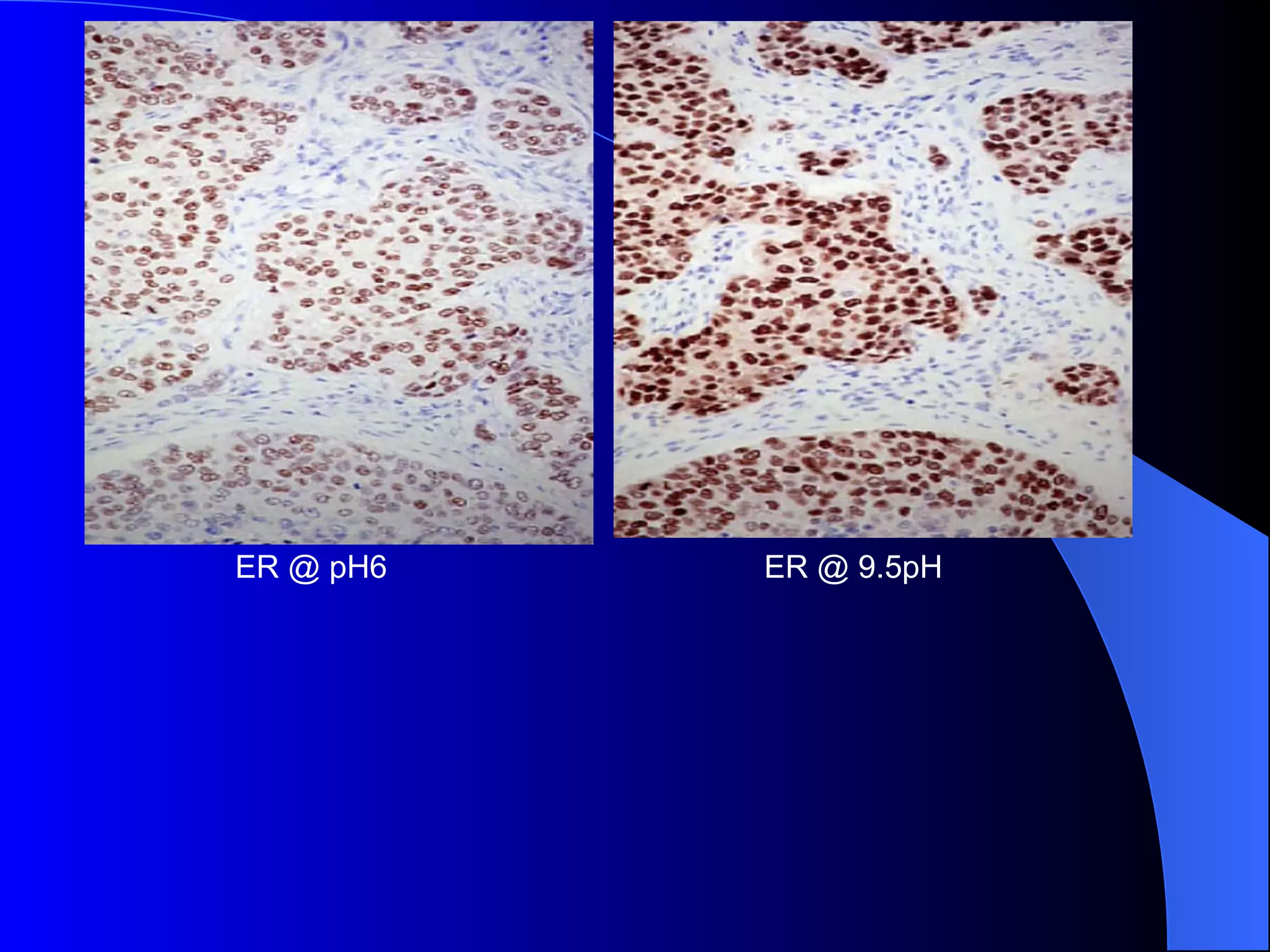 IHC Technology | PPT