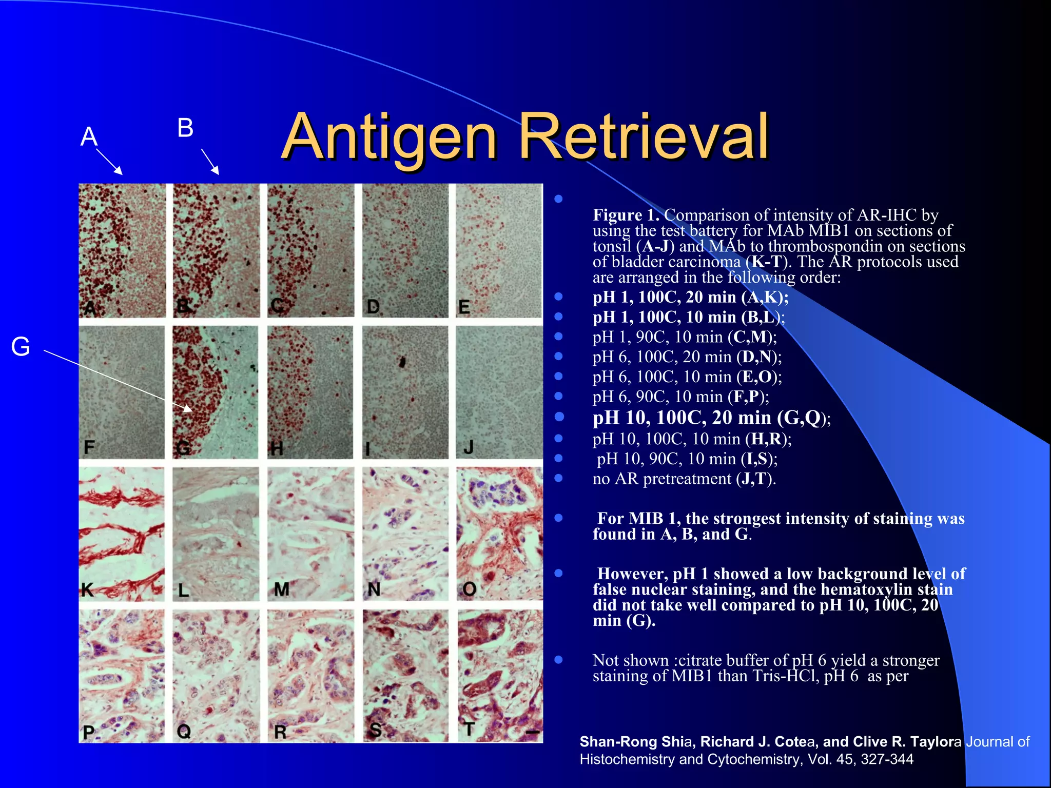 IHC Technology | PPT
