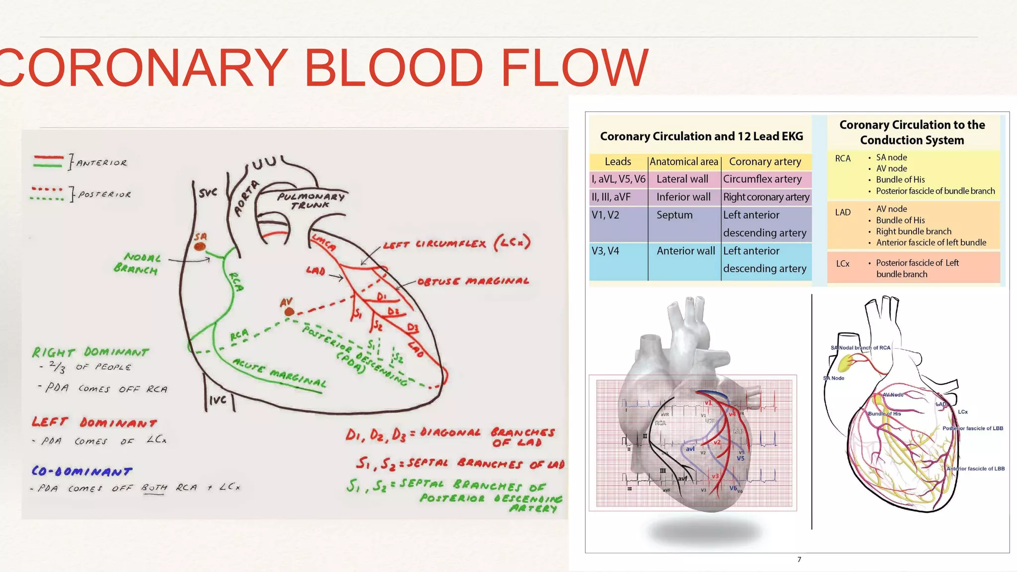 Ischemic heart disease and Aanesthetic implications | PPTX