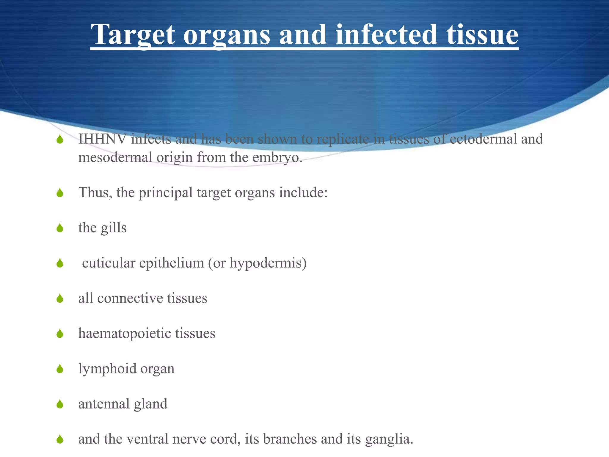 Infectious Hypo dermal and Haematopoietic necrosis virus (IHHNV). | PPT ...