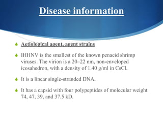 Infectious Hypo dermal and Haematopoietic necrosis virus (IHHNV). | PPTX