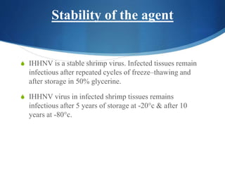 Infectious Hypo dermal and Haematopoietic necrosis virus (IHHNV). | PPTX