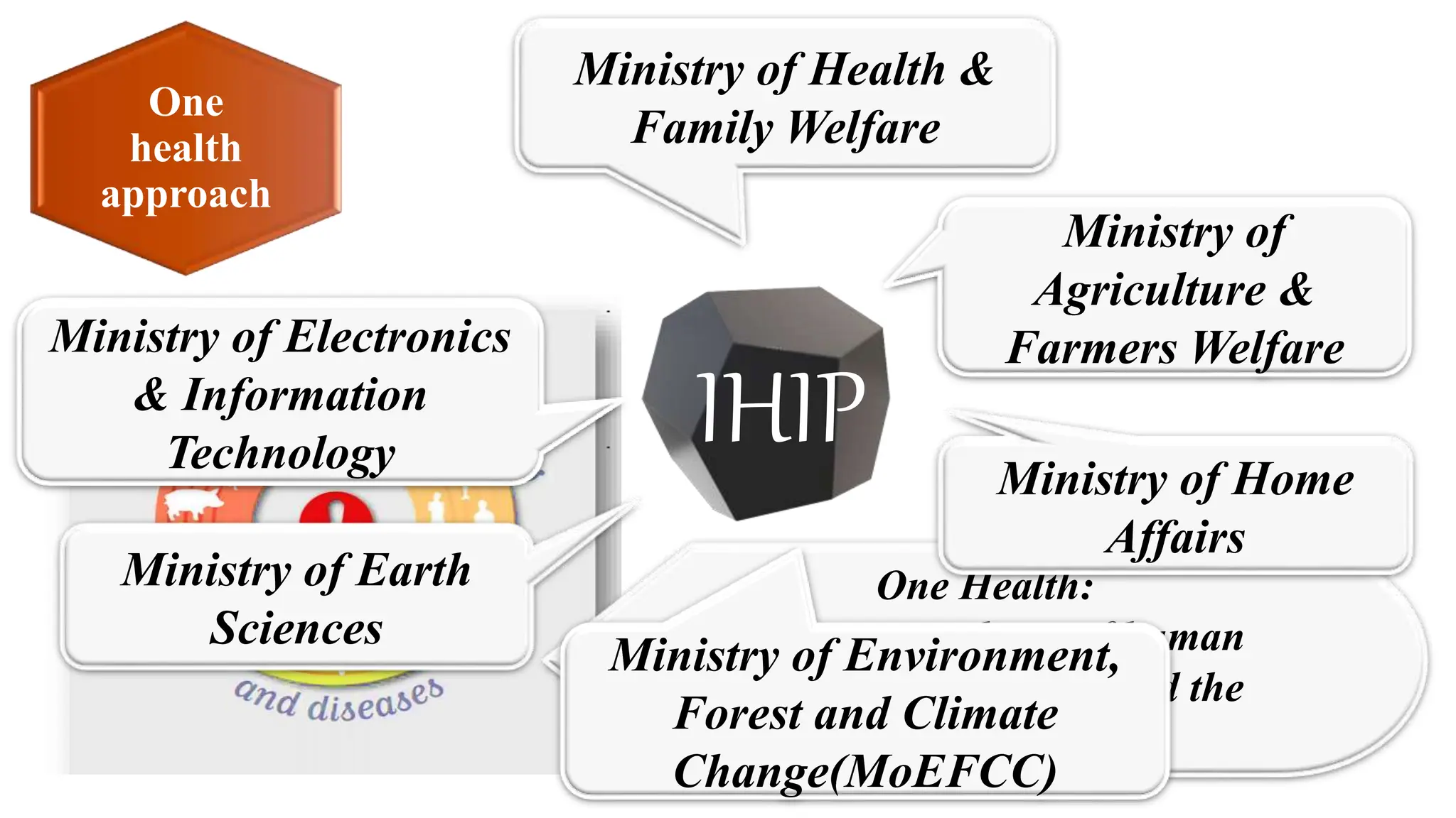 Integrated Health Information Platform (IHIP) | PPTX | Infectious Diseases | Diseases and Conditions