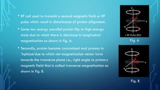 How mri scan works ? | PPT