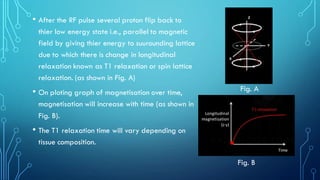 How mri scan works ? | PPT