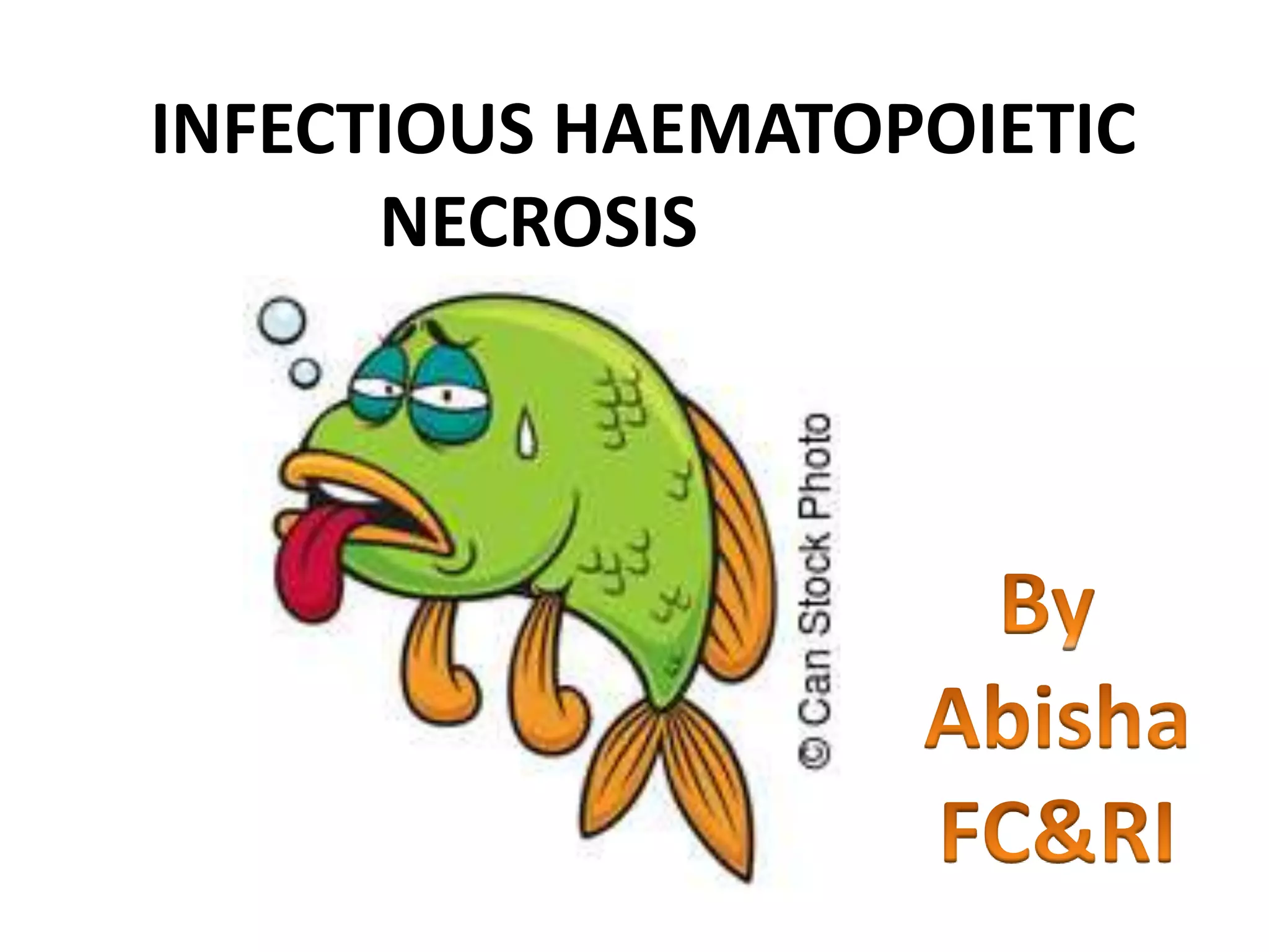 Infectious Heamopoietic Necrosis Virus | PPTX