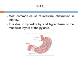 Ihps | PPTX