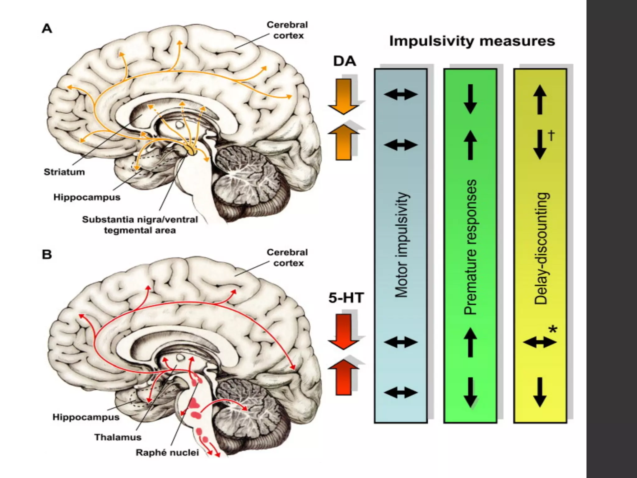 Integrated Behavioral Health: Neuropharmacology Biopsychosocial Approaches to Treatment and ...