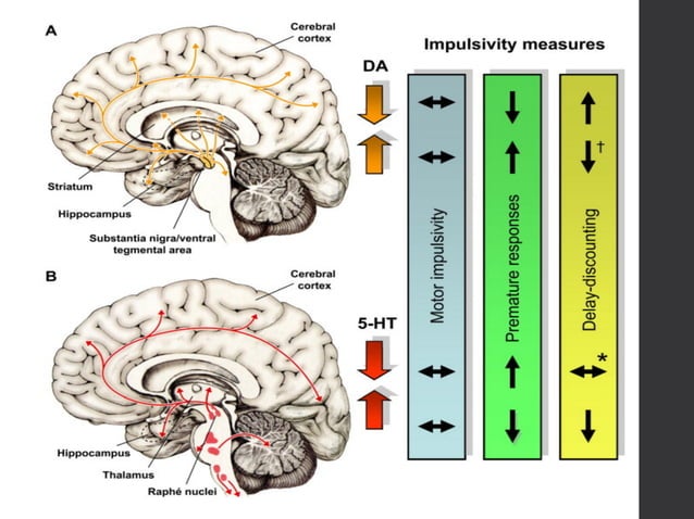 Integrated Behavioral Health: Neuropharmacology Biopsychosocial Approaches to Treatment and ...