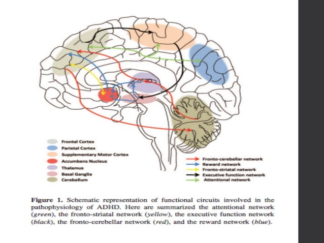 Integrated Behavioral Health: Neuropharmacology Biopsychosocial Approaches to Treatment and ...