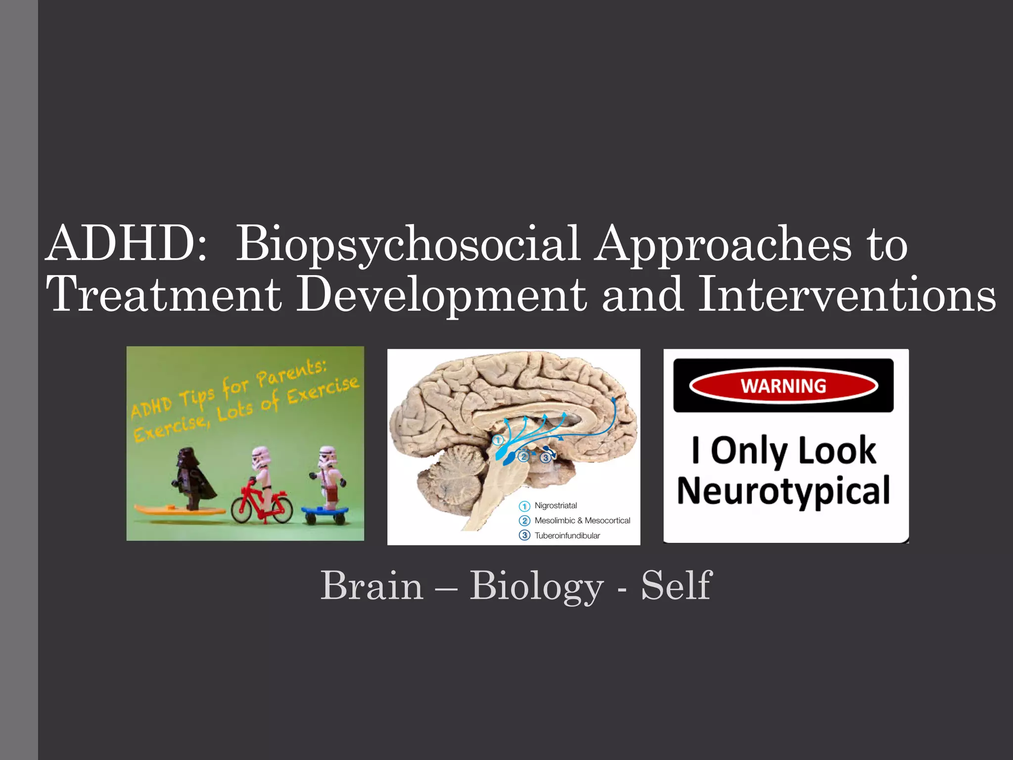 ADHD: Biopsychosocial Approaches to Treatment of ADHD in Children and ...