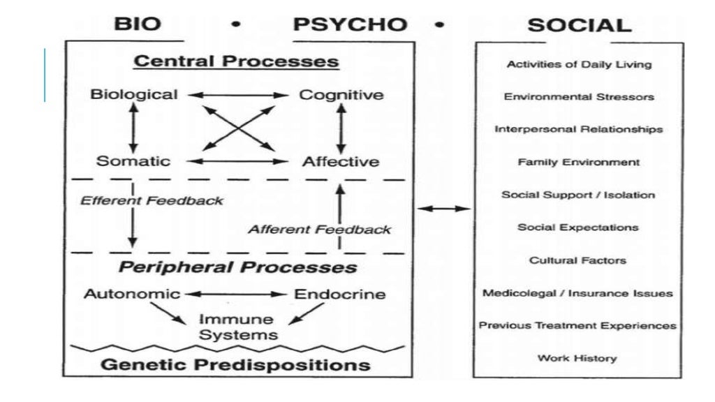 Integrated Health Psychology: Biopsychosocial-Spiritual Model Overview