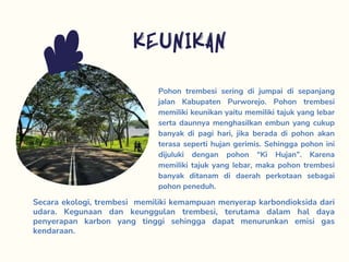 pohon identitas Kab. Purworejo, Jawa Tengah | PDF