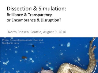 Dissection and Simulation | PPT
