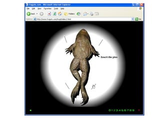 Dissection and Simulation | PPT