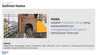Umum Pengenalan Hama di area rumah dan kantor | PPTX