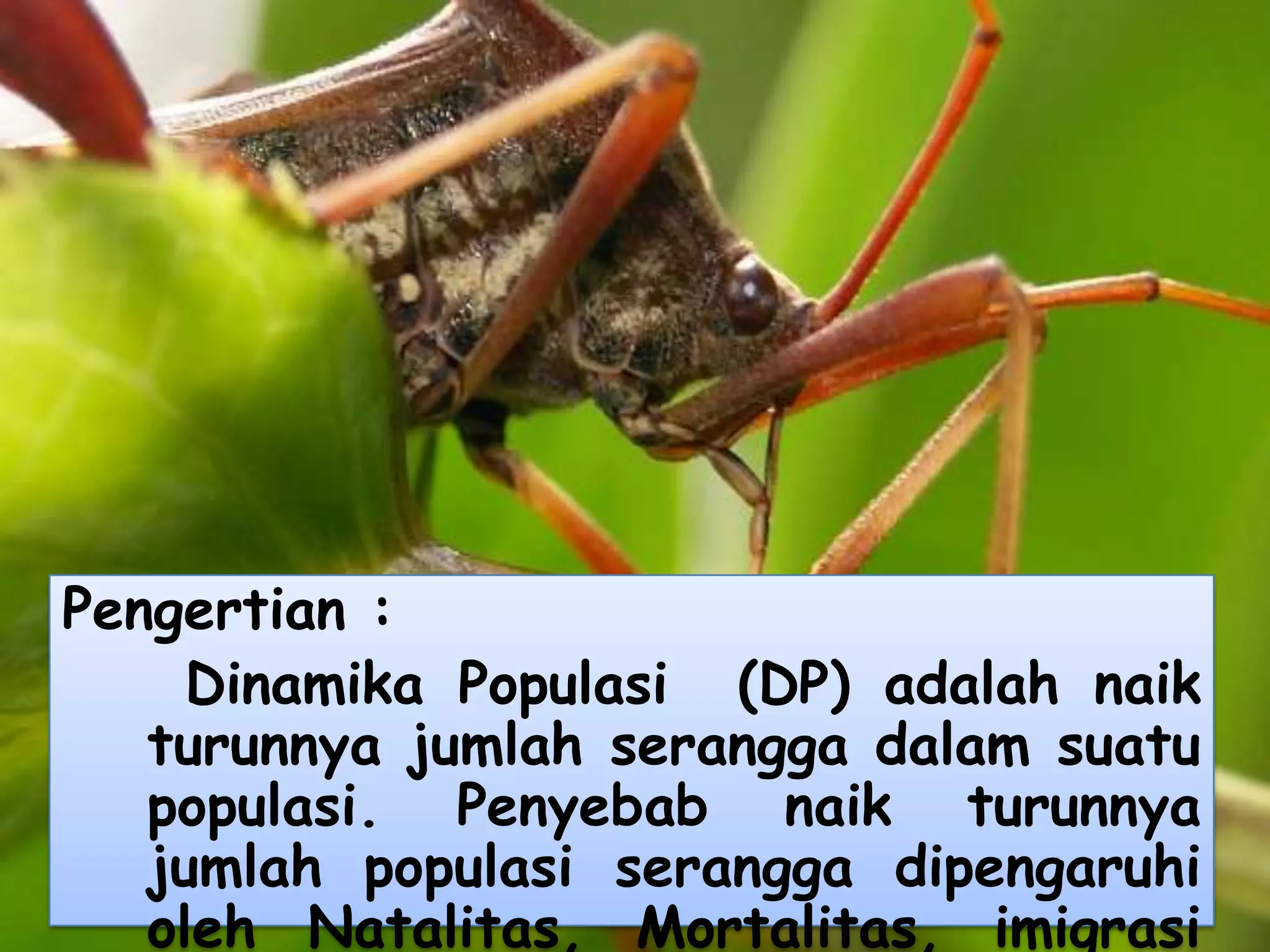 Ilmu Hama Tumbuhan | PPTX
