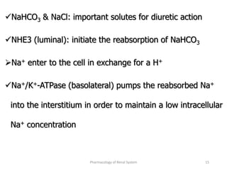 Parmacology of Renal System by Birhanu Geta | PPTX