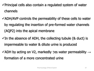 Parmacology of Renal System by Birhanu Geta | PPTX