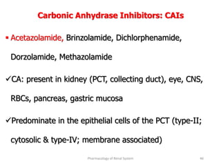 Parmacology of Renal System by Birhanu Geta | PPTX