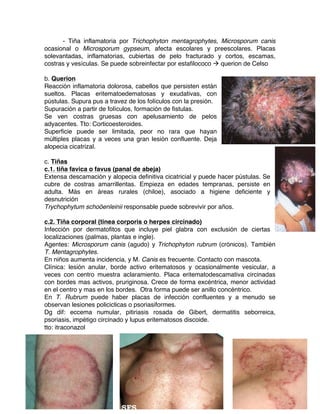 Micosis superficiales | PDF
